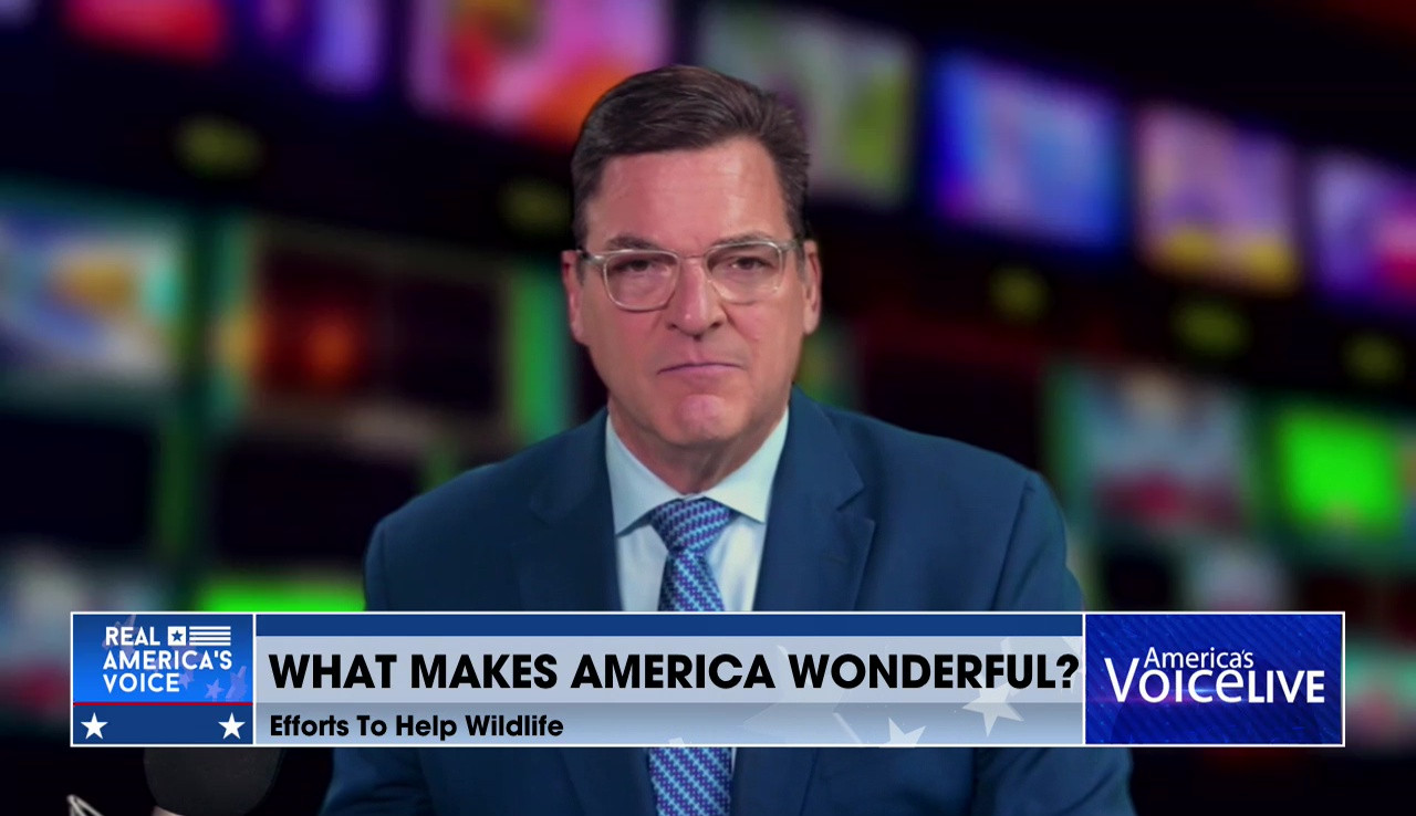America's Voice Live - Real America's Voice News